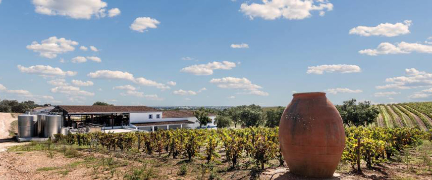 Casa Agrícola Alexandre Relvas (Herdade de São Miguel) - CVRA